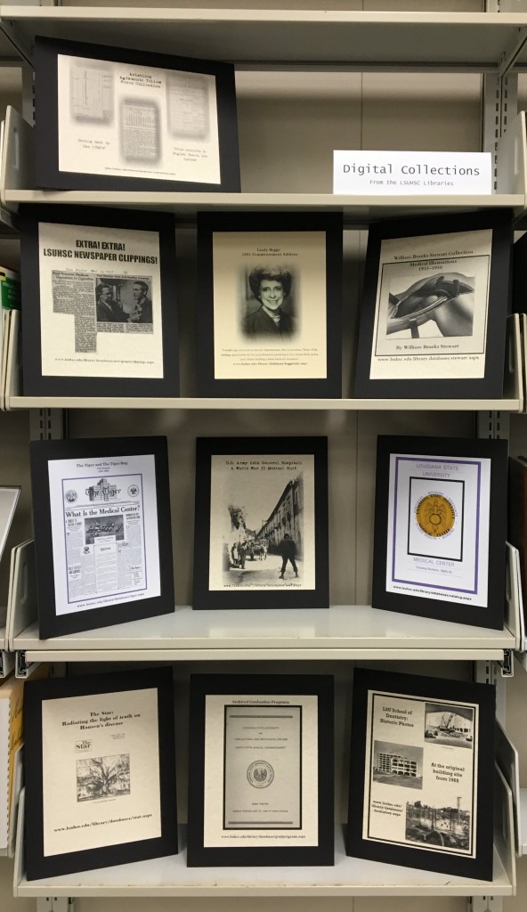 New Display! – Libraries News