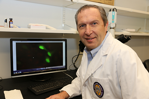 10 Million Reasons that Treatment of Cancers Caused by Viruses May Advance